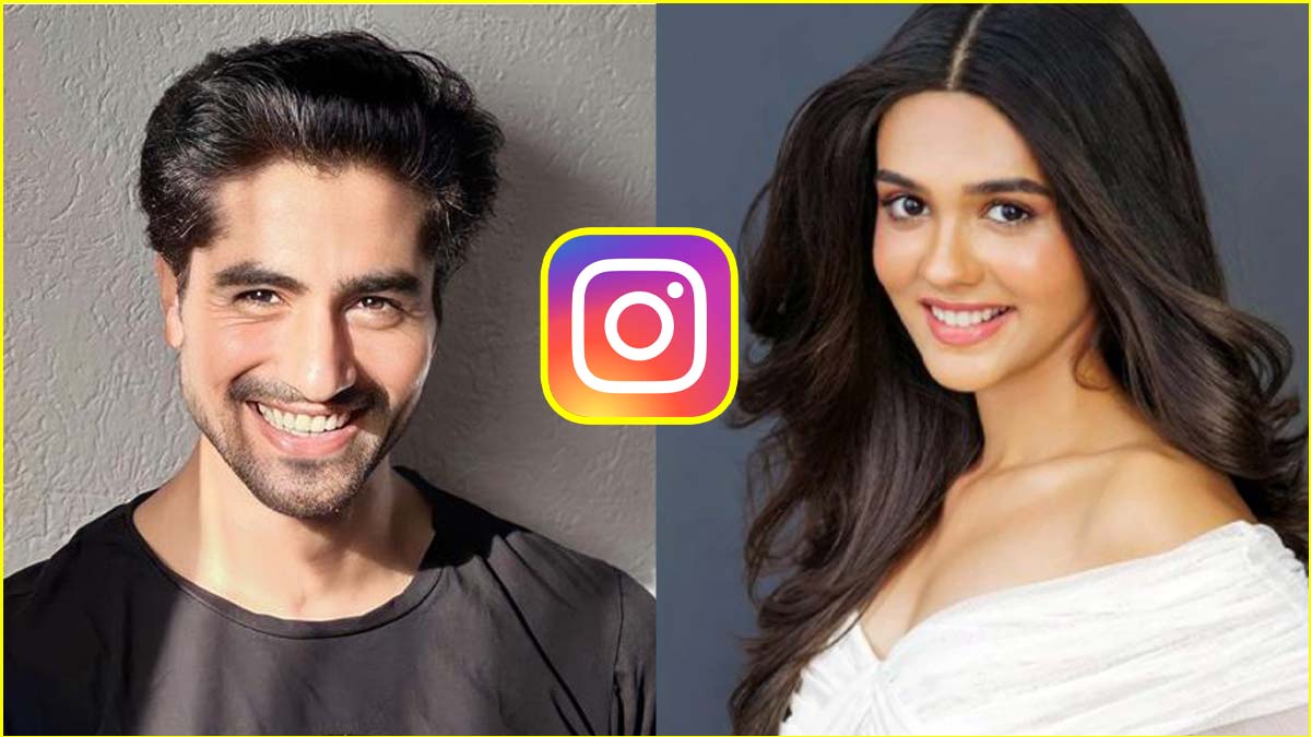 प्रणाली राठौड़ और हर्षद चोपड़ा ने ब्रेकअप रूमर्स के बीच बनाई दूरी, सोशल मीडिया पर मिला सबूत