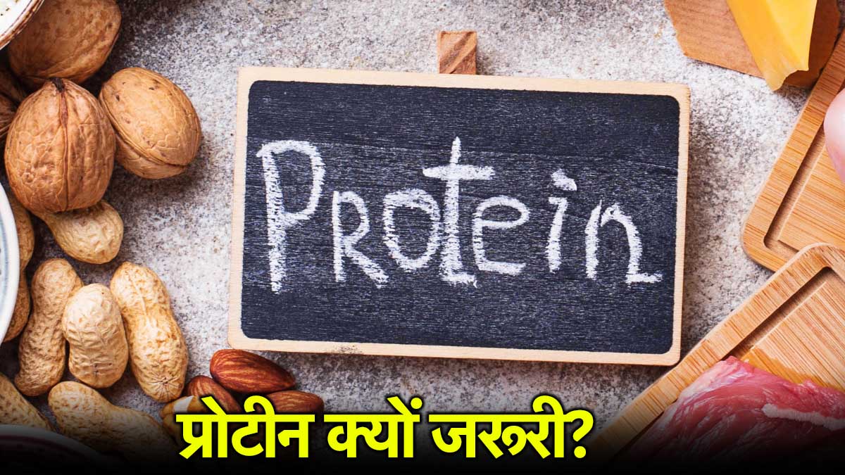 Protein Deficiency: इन 5 चीजों को खाने से बढ़ेगा शरीर में प्रोटीन, ये ...