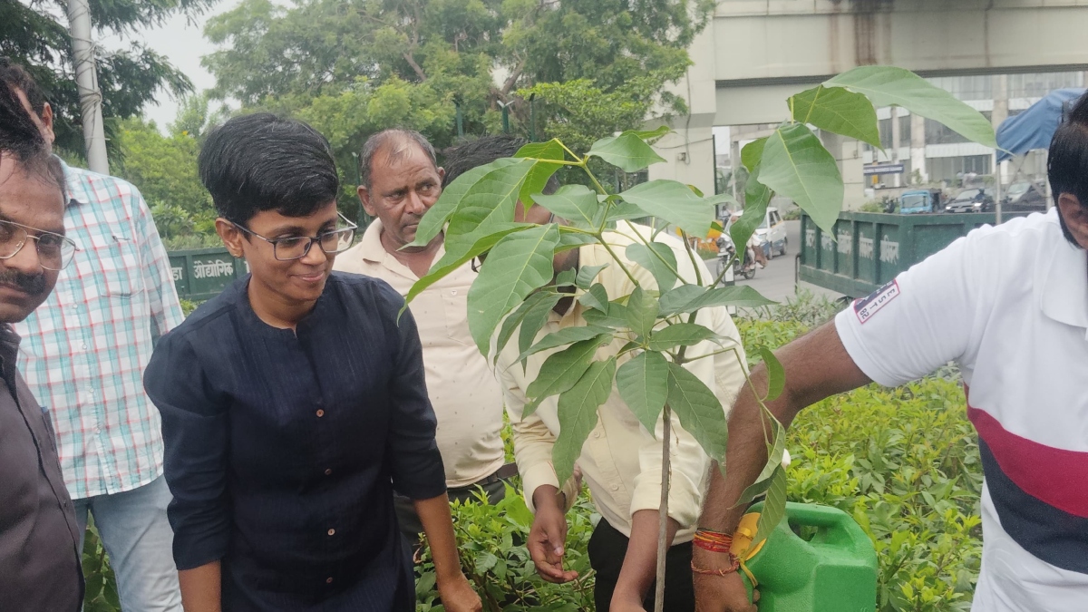Greater Noida News: ग्रेटर नोएडा की सड़कों पर बसंत रानी का होगा कब्जा ...