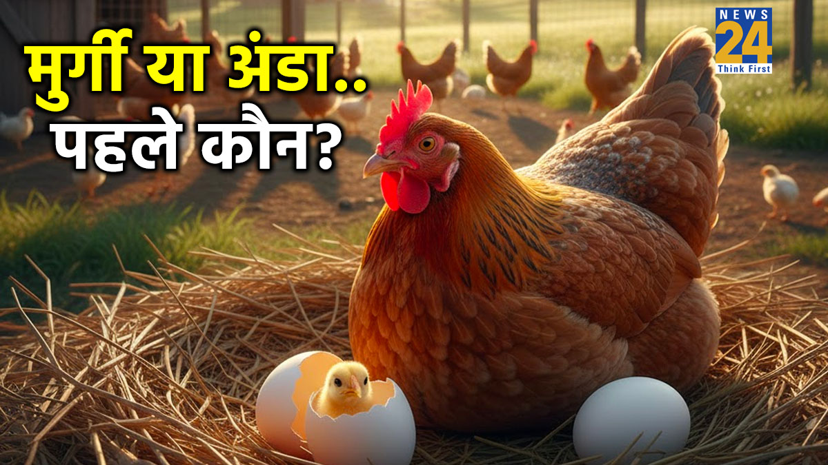 पहले अंडा आया या मुर्गी? सुलझ गई बरसों पुरानी पहेली, सही जवाब से पलटी ...
