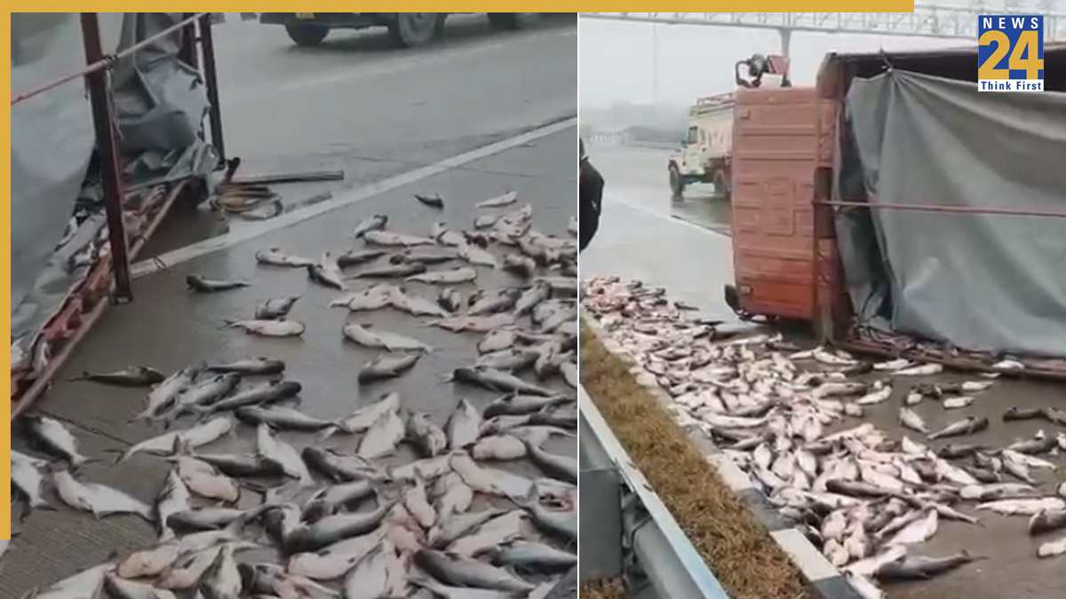 ईस्टर्न पेरिफेरल पर बड़ा हादसा, कंटेनर पलटते ही ग्रामीणों की लगी लॉटरी ...