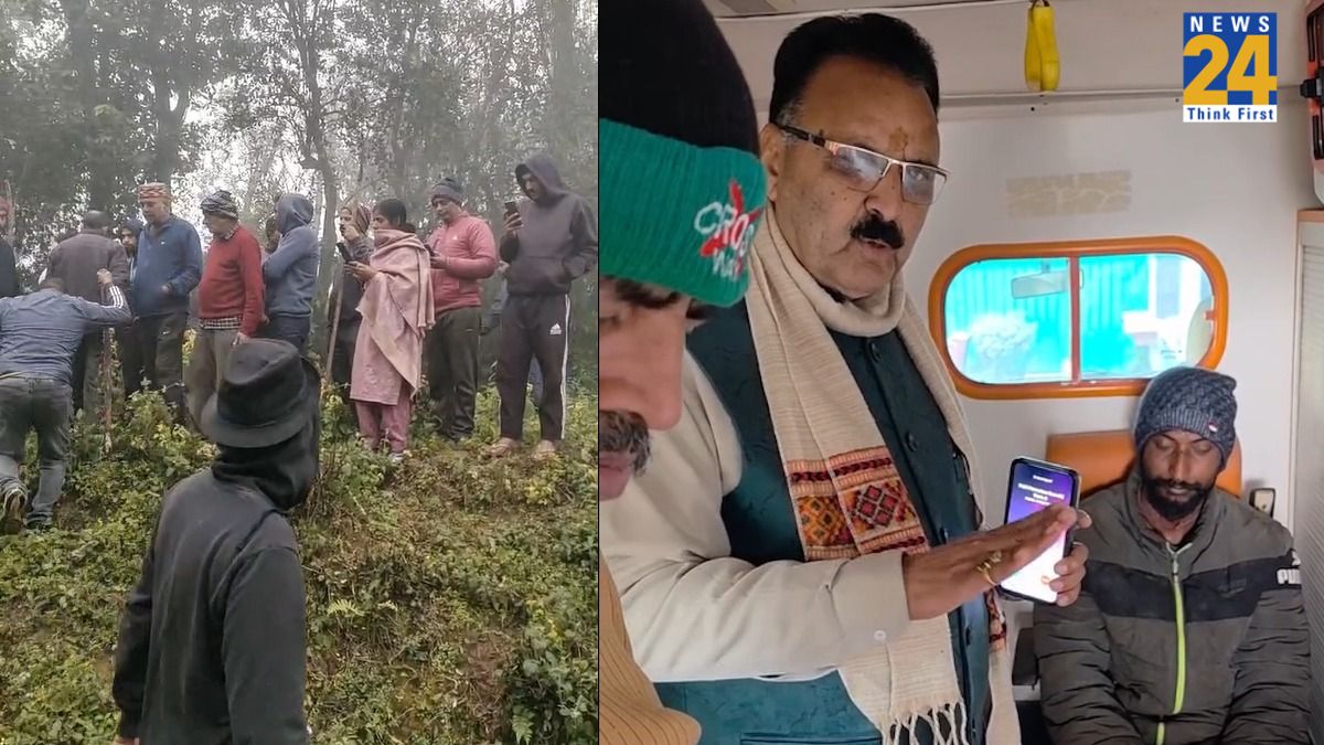 मंडी में आदमखोर तेंदुए का आतंक, एक युवक की मौत, पांच घायल - himachal ...