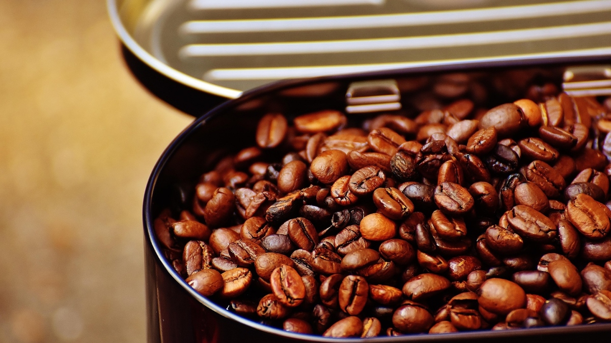 किसी पौधे से नहीं, बल्कि इस जानवर के मल से बनती है दुनिया की सबसे महंगी ...